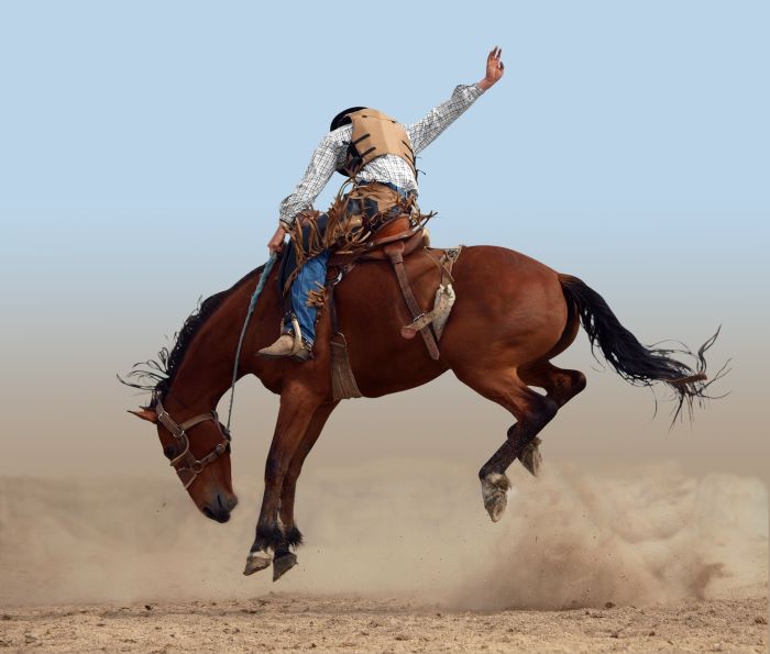 SADDLE UP! ITS TEEBAR RODEO TIME! – Kingstons Rural Supplies